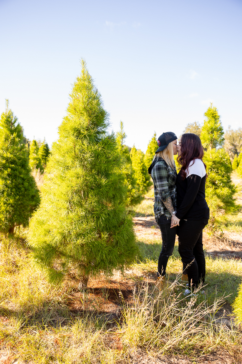 2022 Christmas Tree Farm Portraits Orlando, Florida | Orlando Wedding ...